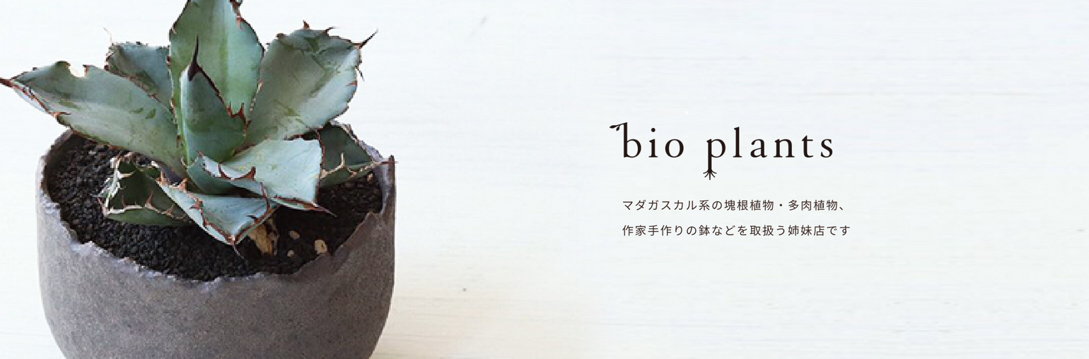 iver and isla 通販 – LePuju